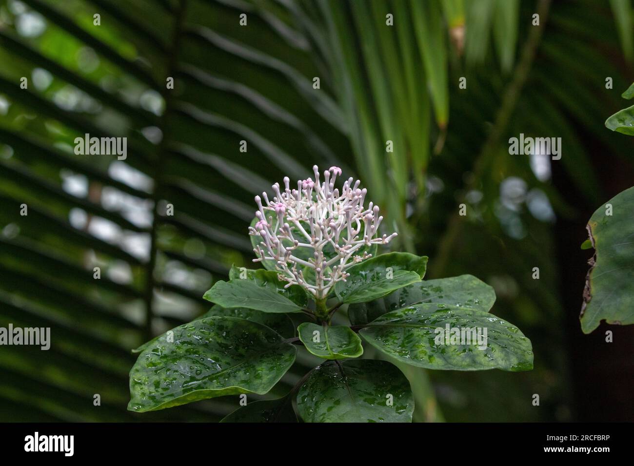 Amazing view footage taken of the nature and Flora and Fauna Stock ...