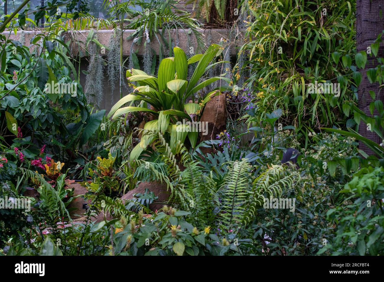 Amazing view footage taken of the nature and Flora and Fauna Stock ...