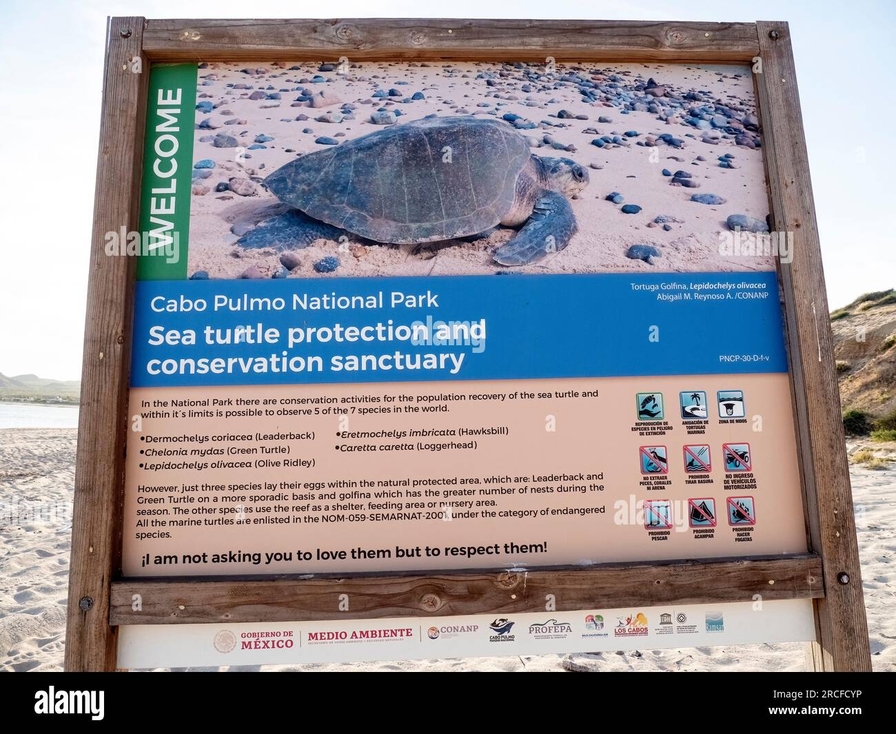 Protected sea turtles signage hi-res stock photography and images - Alamy