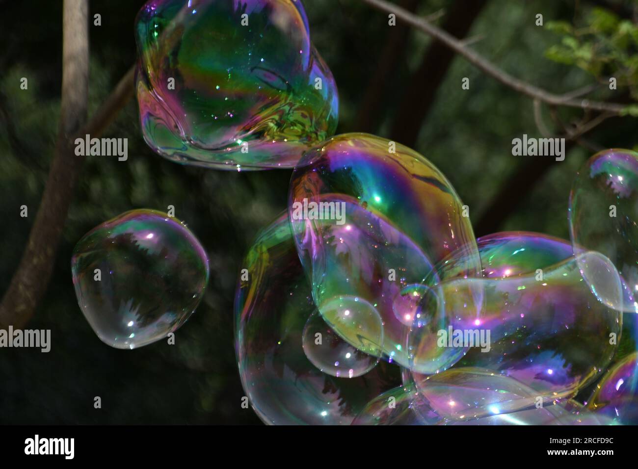 Flying Giant Soap Bubbles Stock Photo - Alamy