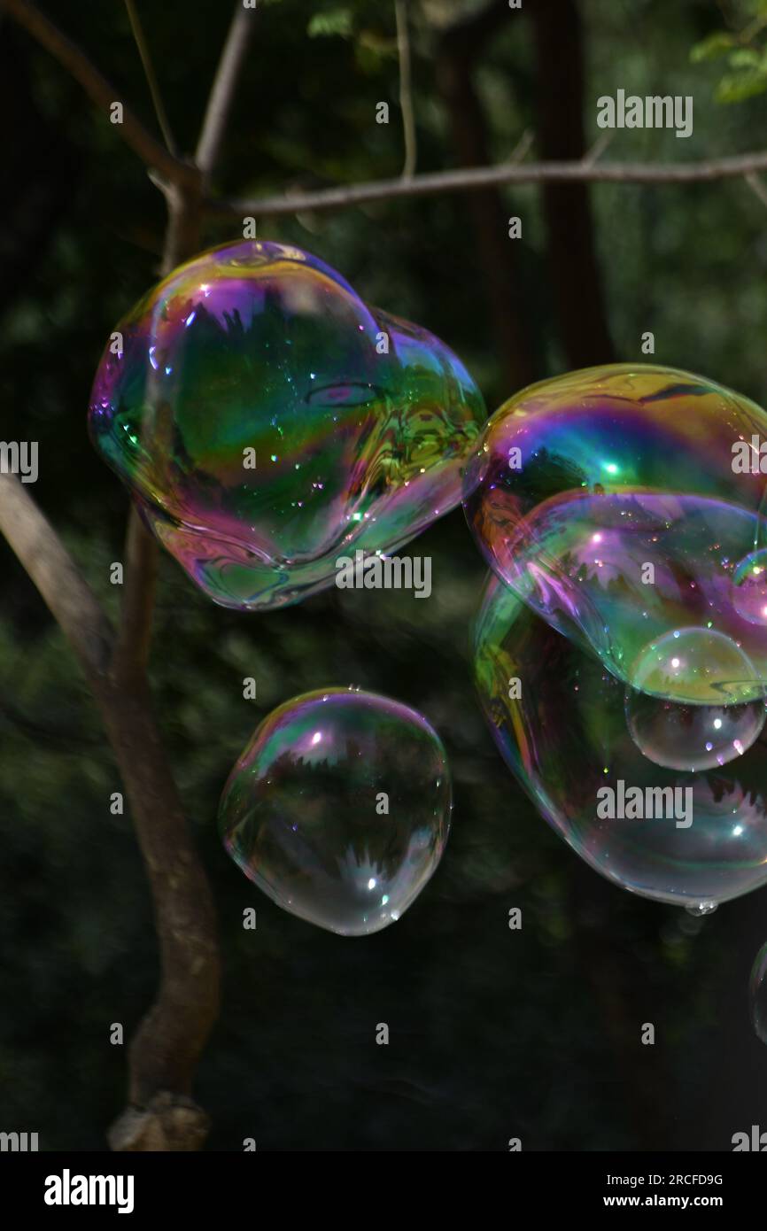 Flying Giant Soap Bubbles Stock Photo - Alamy