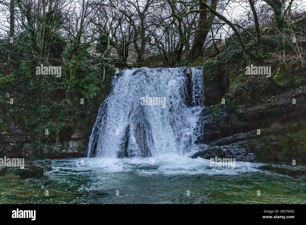 Flora and fauna interaction hi-res stock photography and images - Alamy