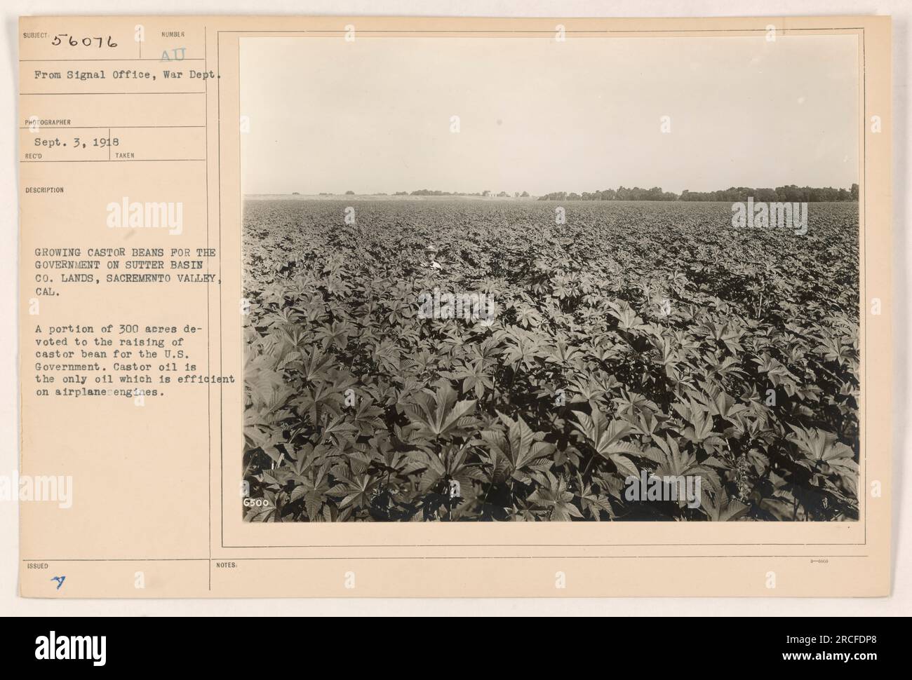 Aerial photograph of a field in Sacramento Valley, California, showing ...