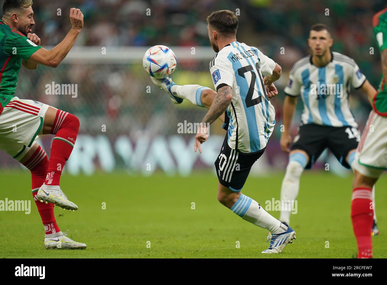 Lusail, Qatar, 26, November, 2022. Alexis Mac Allister from Argentina in action during the match ...