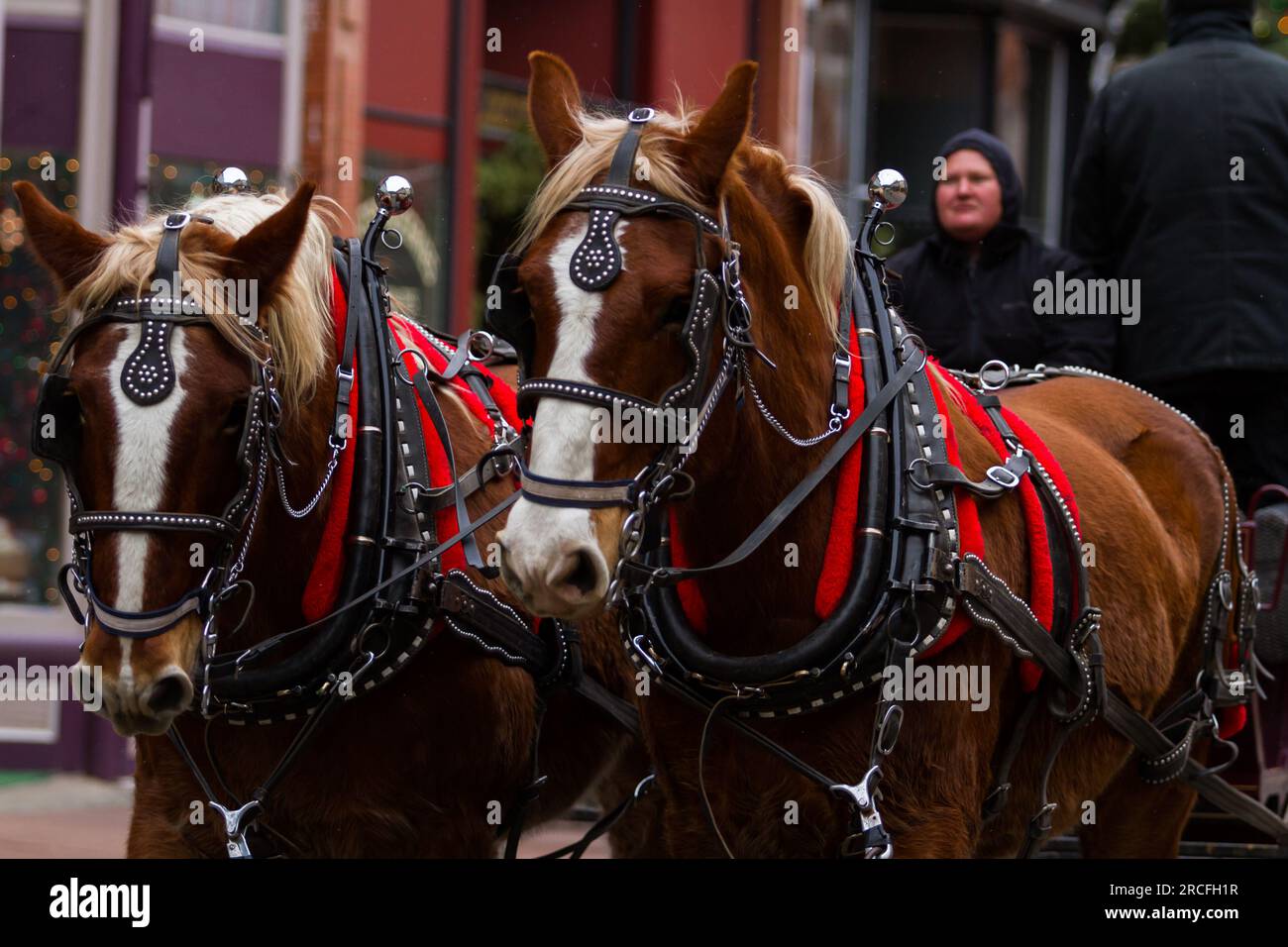 Horse-drawn wagon ride Stock Photo - Alamy