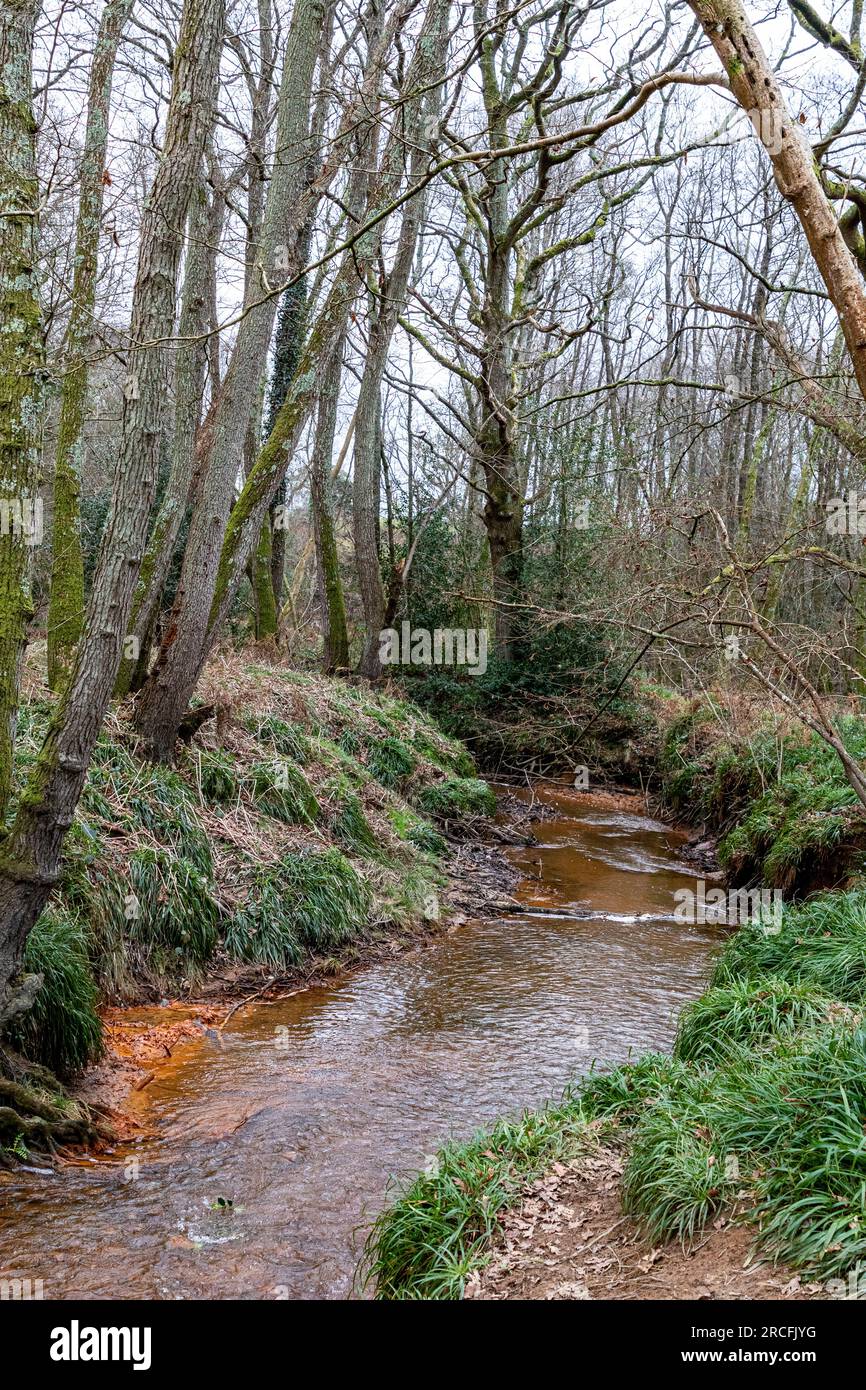 Beautiful view footage of the nature taken in Yorkshire Stock Photo - Alamy