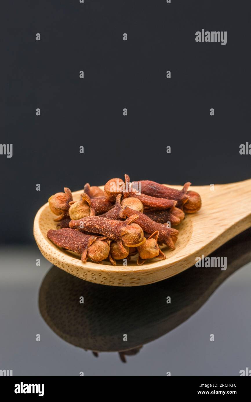 Dried Cloves / Syzygium aromaticum on small bamboo spoon on reflective black background. For ...