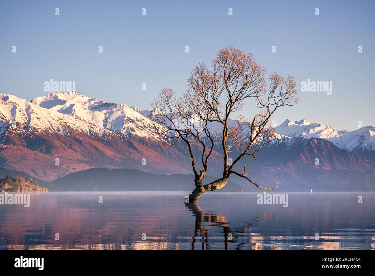 Moment of serene beauty in nature hi-res stock photography and images - Alamy