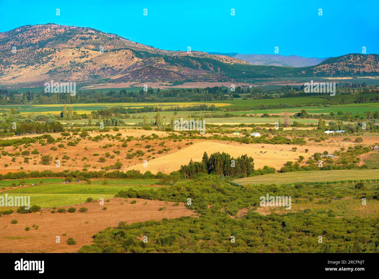 Crop fields and farms at Region del Maule in southern Chile Stock Photo ...