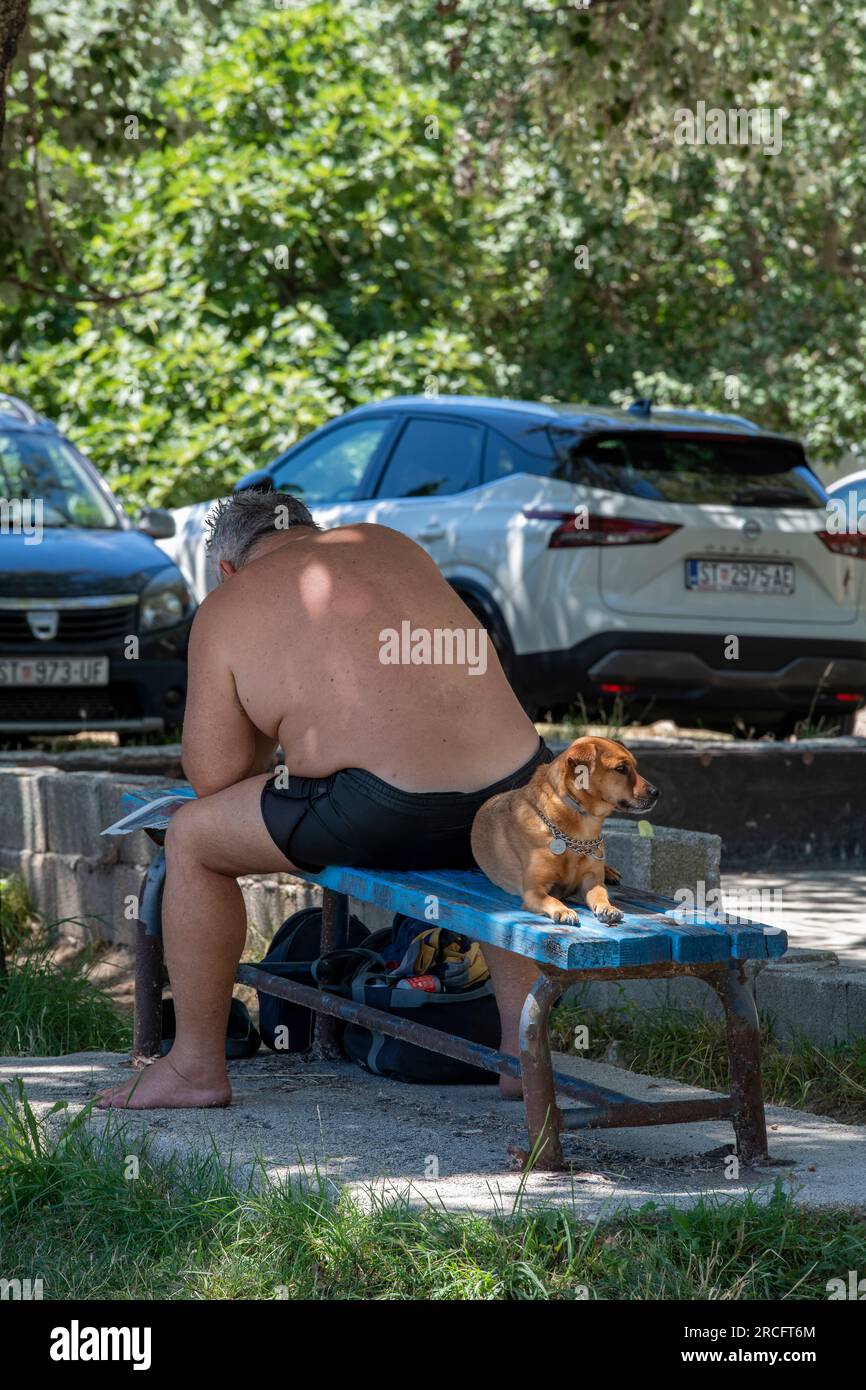 large older man sitting on a bench with his dog, man with dog, one man ...