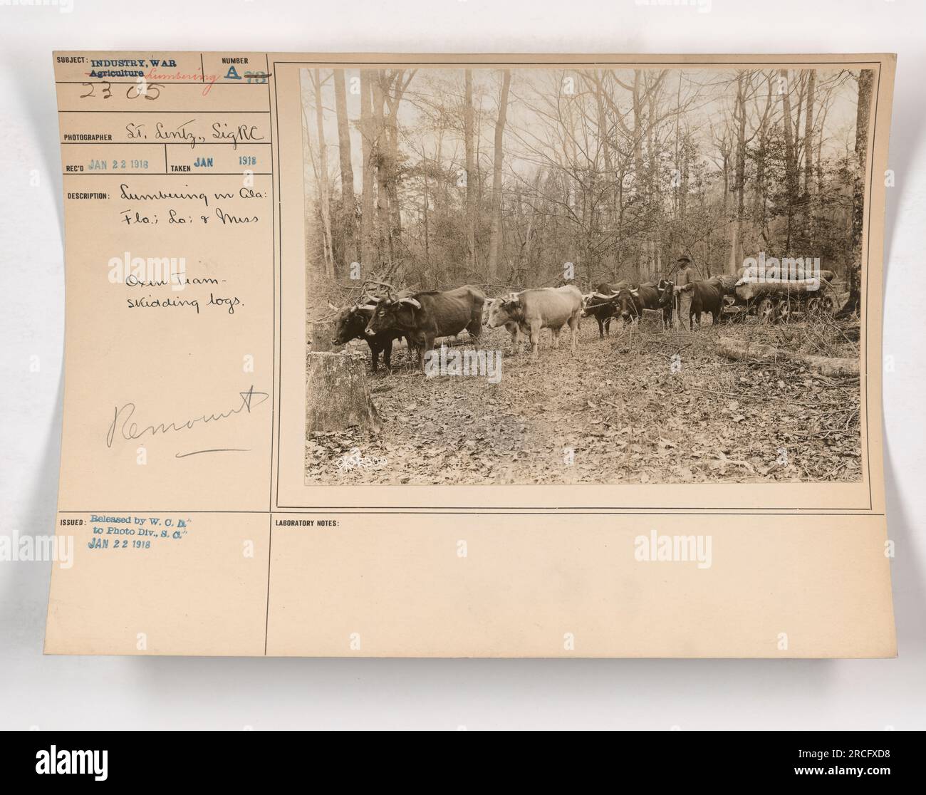 Lumbering alabama hi-res stock photography and images - Alamy