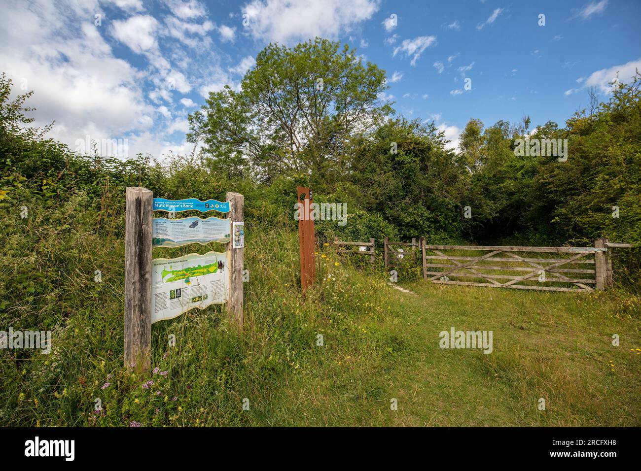 Environmentally important open space landscape in the Surrey Hills Area ...