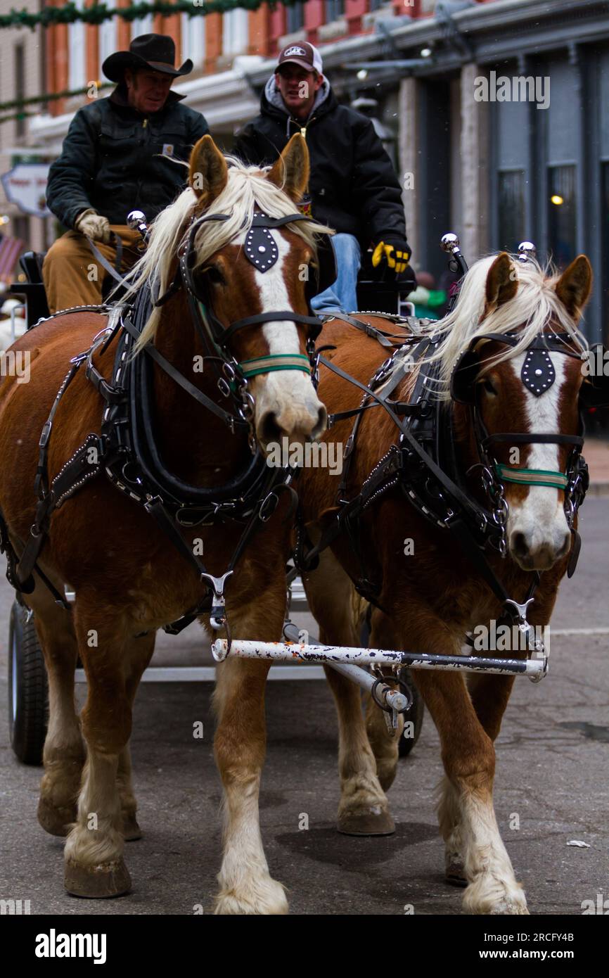 Horse-drawn wagon ride Stock Photo - Alamy