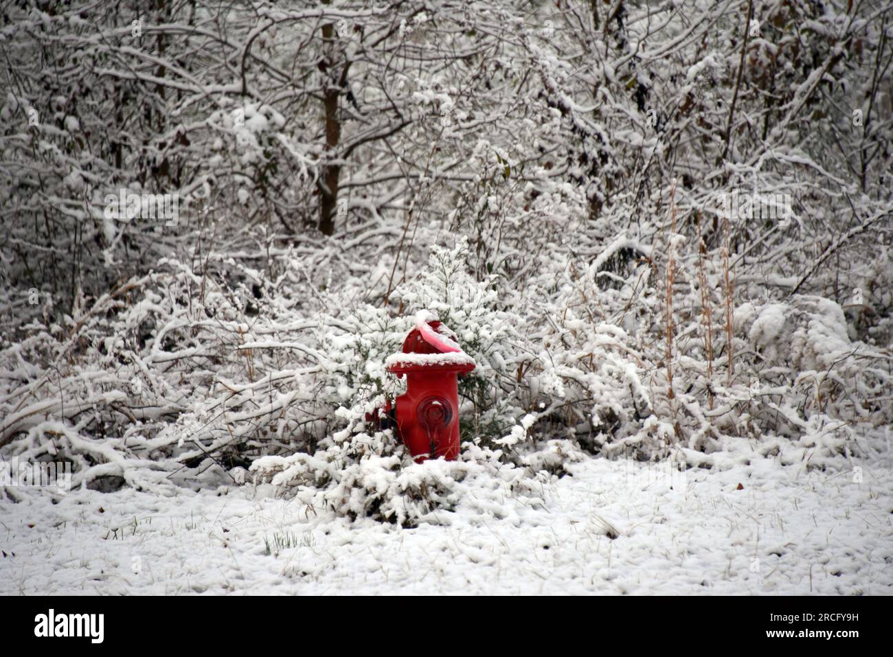 Country fire hydrant stands alone in a snowy landscape. It is almost ...