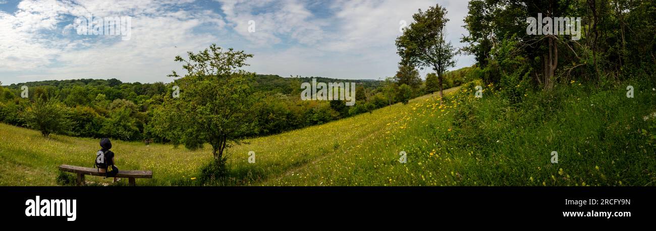 Environmentally important open space landscape in the Surrey Hills Area ...