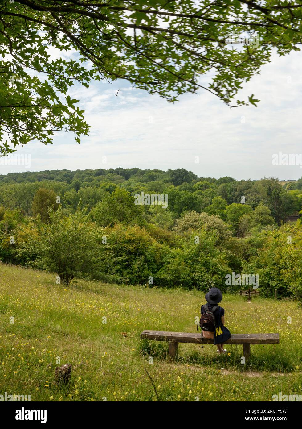 Environmentally important open space landscape in the Surrey Hills Area ...