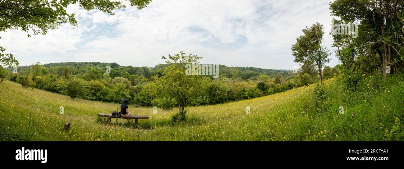 Environmentally important open space landscape in the Surrey Hills Area ...