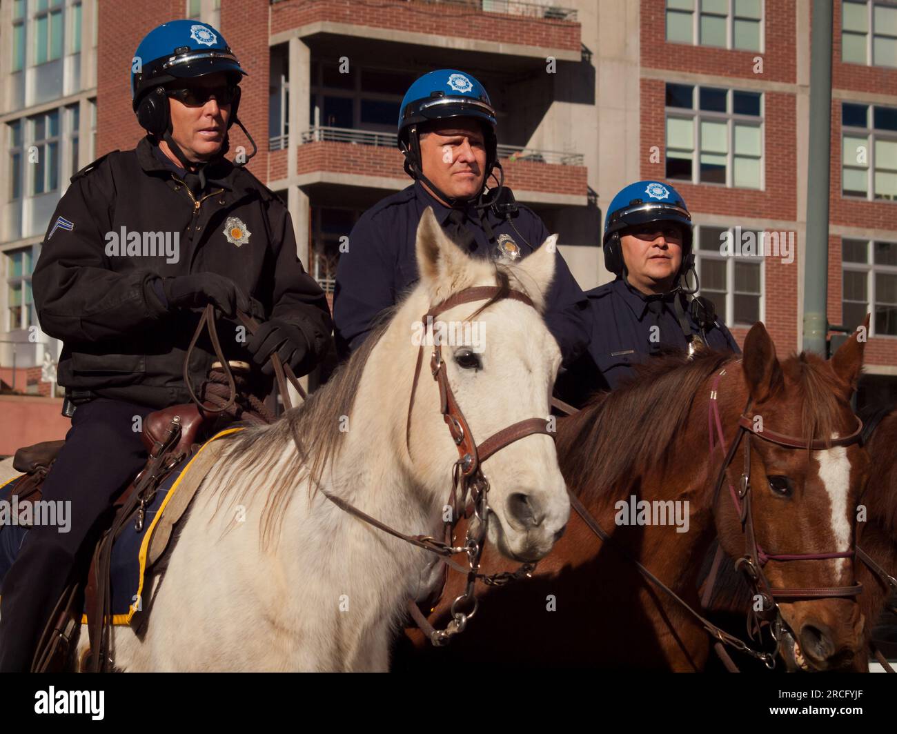 Profession police union hi-res stock photography and images - Alamy