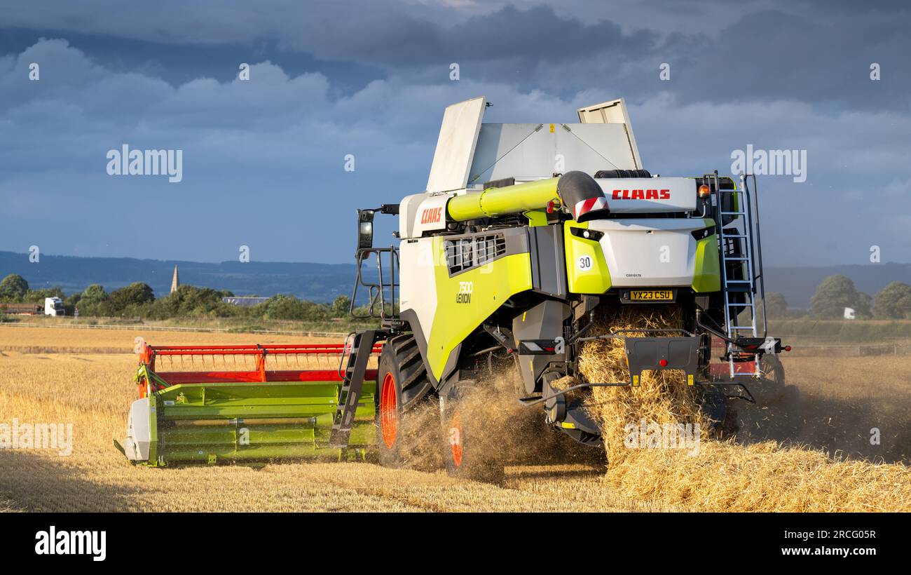 Harvesting winter barley with a Claas Lexicon 7500 combine harvester on ...