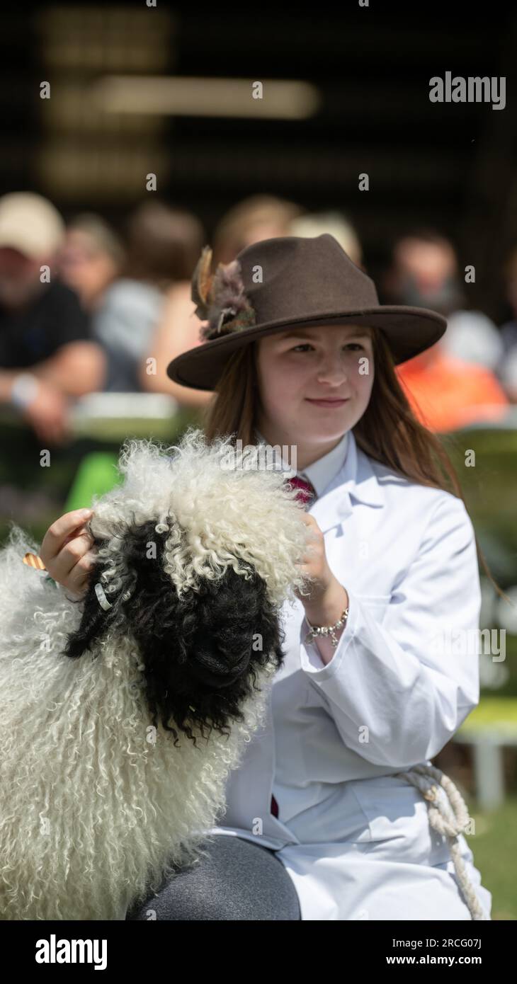 Young people showing their sheep at the Great Yorkshire Show, 2023 Stock Photo - Alamy