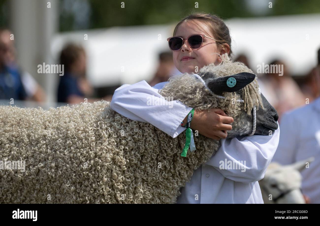 Girl showing sheep competition hi-res stock photography and images - Alamy