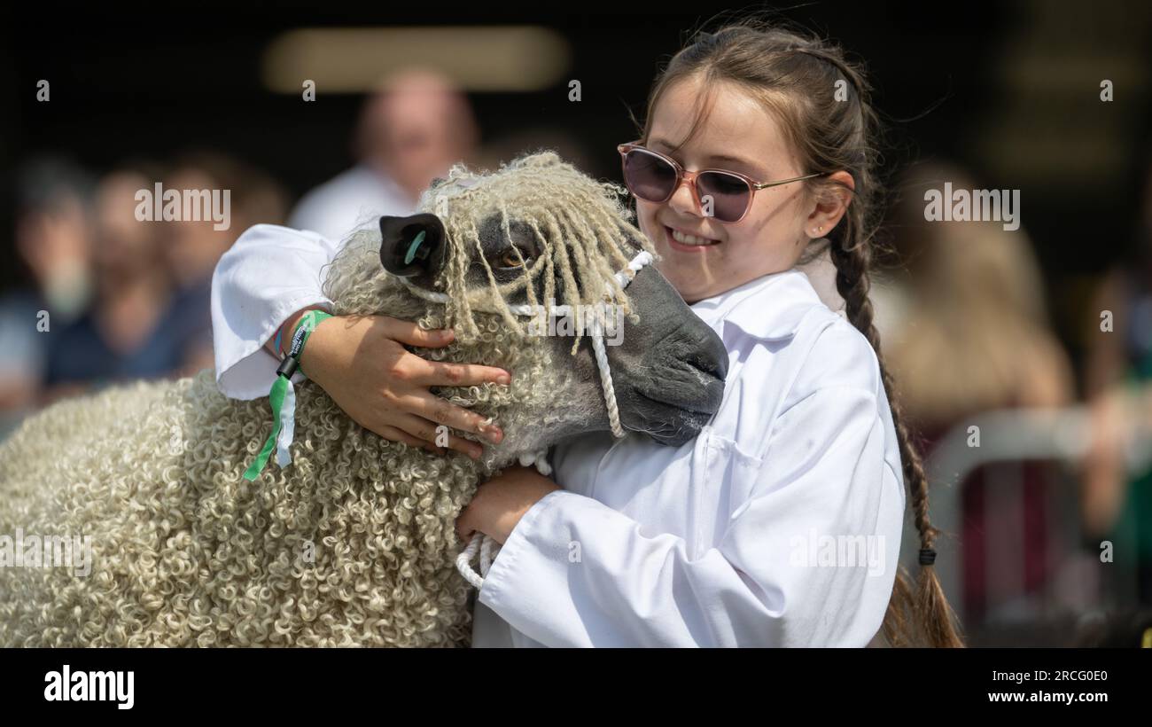 Young people showing their sheep at the Great Yorkshire Show, 2023 ...