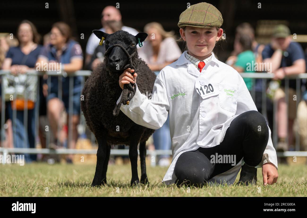 Girl showing sheep competition hi-res stock photography and images - Alamy