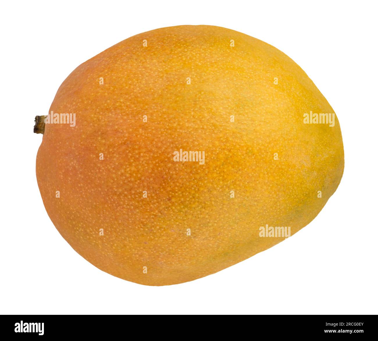 Ripe mango on a white isolated background. A ripe, fresh and whole ...