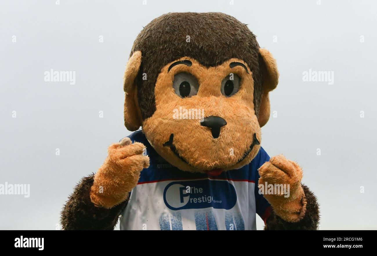 Hartlepool united mascot hi-res stock photography and images - Alamy