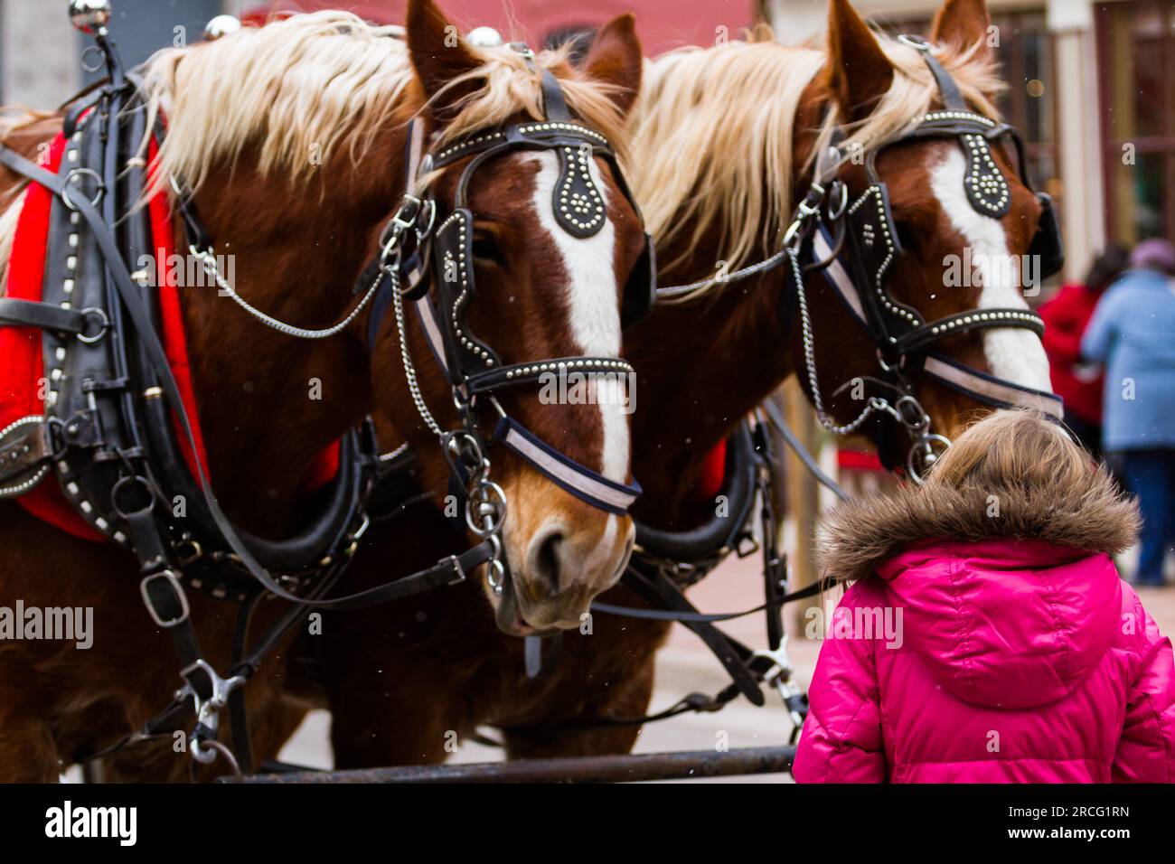 Horse-drawn wagon ride Stock Photo - Alamy