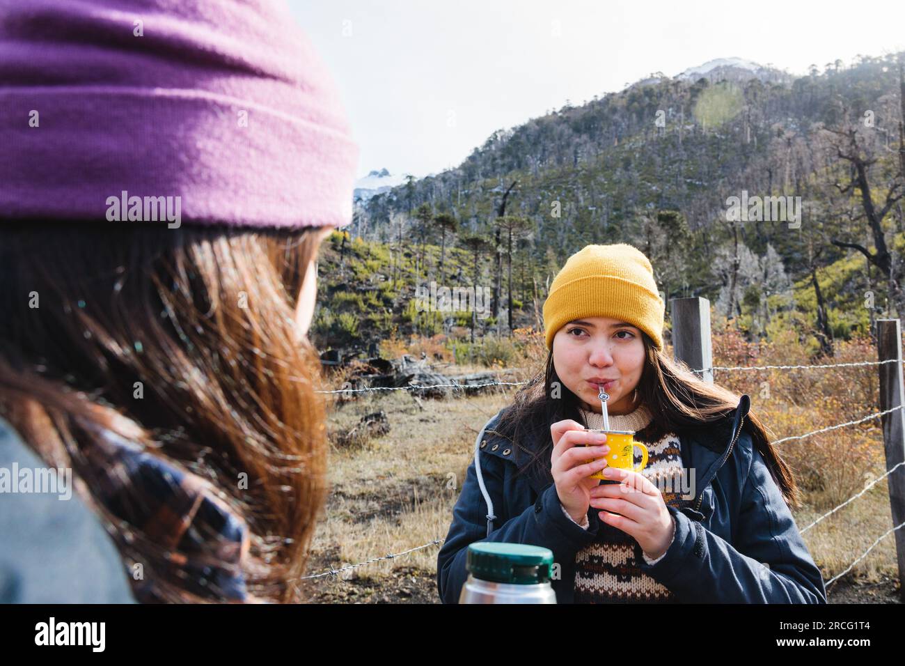 Traditional sharing yerba mate hi-res stock photography and images - Alamy
