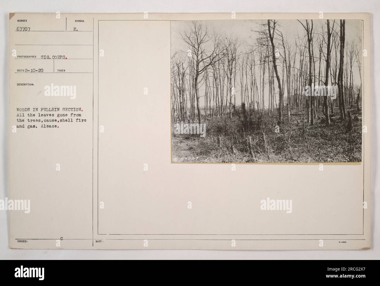 Image depicts a wooded area in the Fullein section, where all the ...