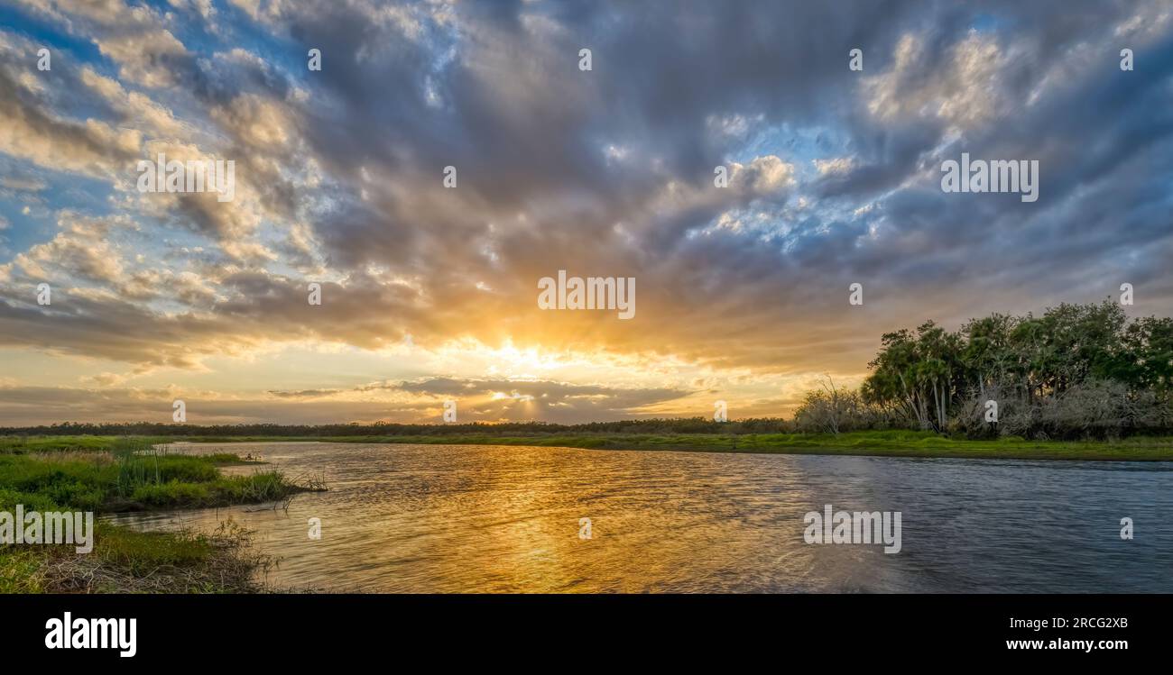 Myakka river scene water hi-res stock photography and images - Alamy