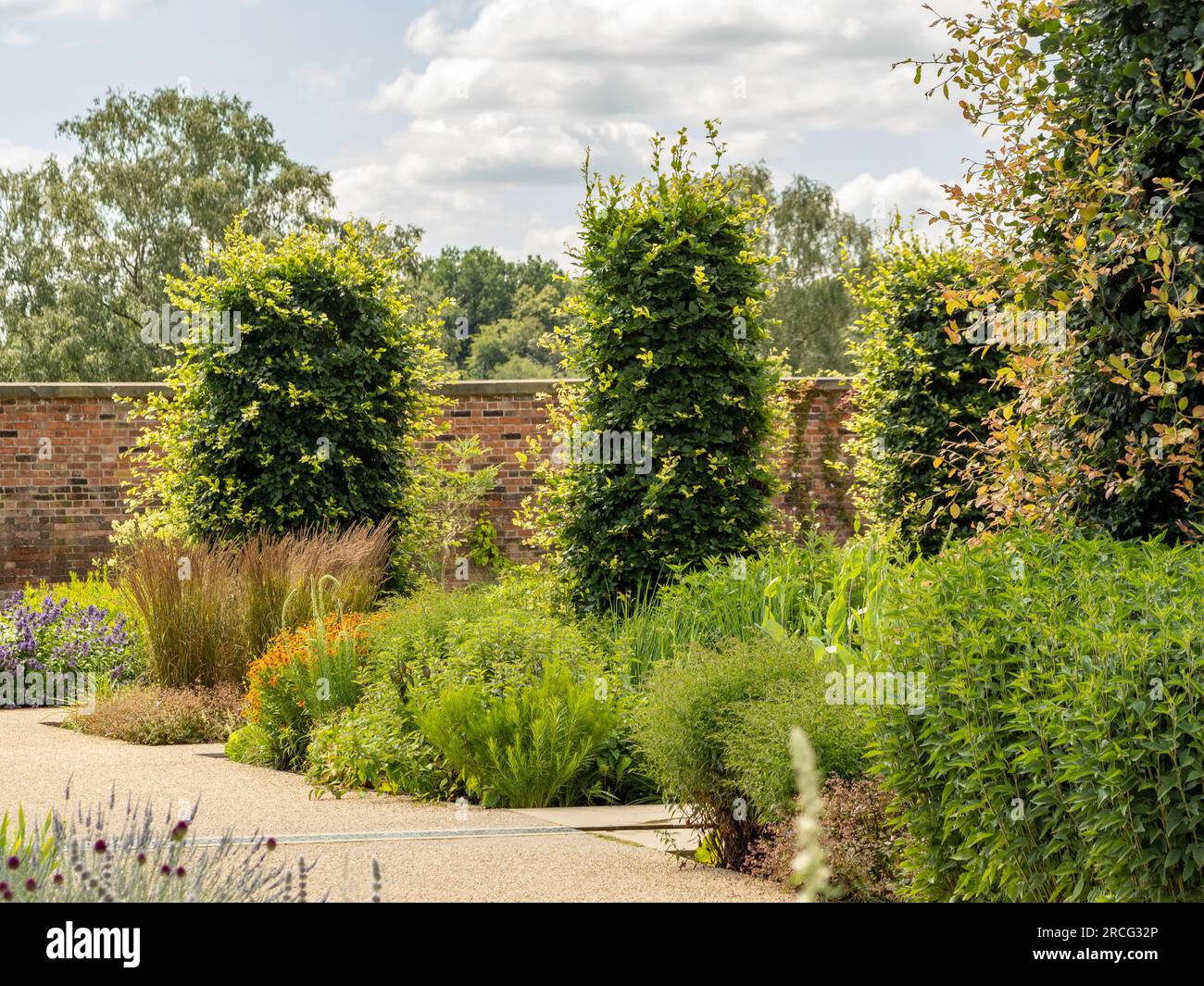Beech columns underplanted with perennial plants and ornamental grasses ...