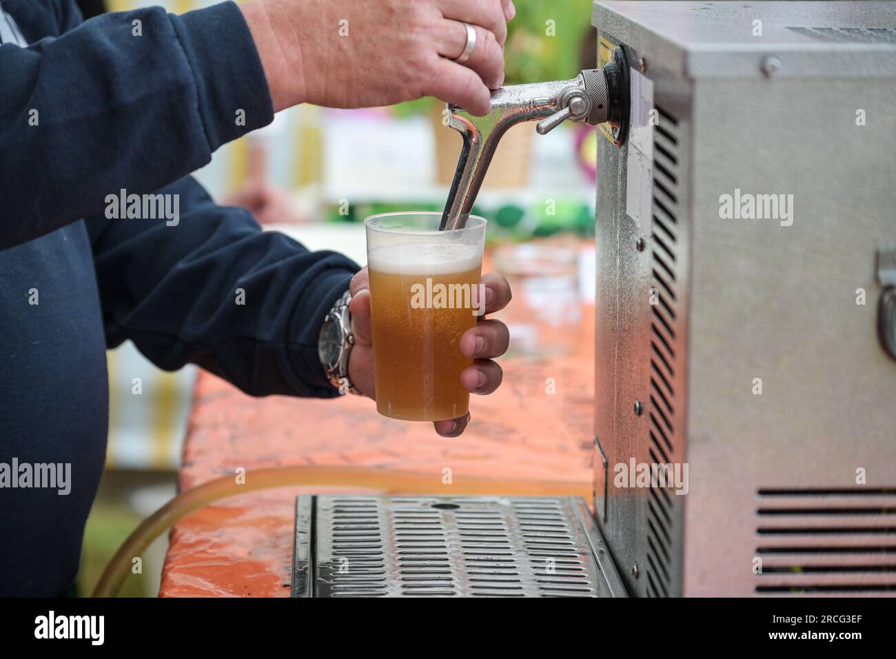 Cold draught beer is poured from a mobile tap in a plastic glass at an ...