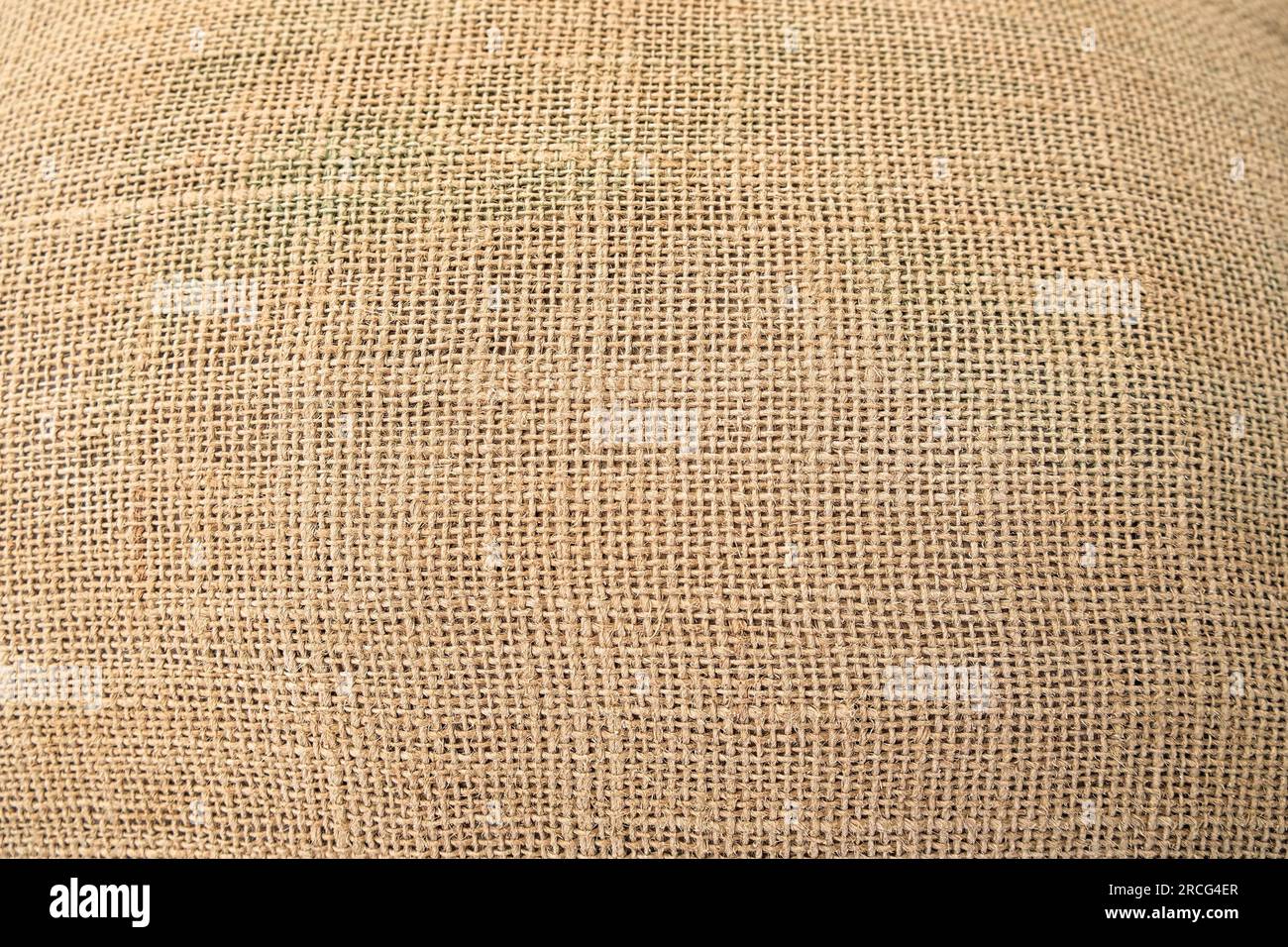 Jute (Corchorus capsularis) cloth natural vegetal fiber used to make ...