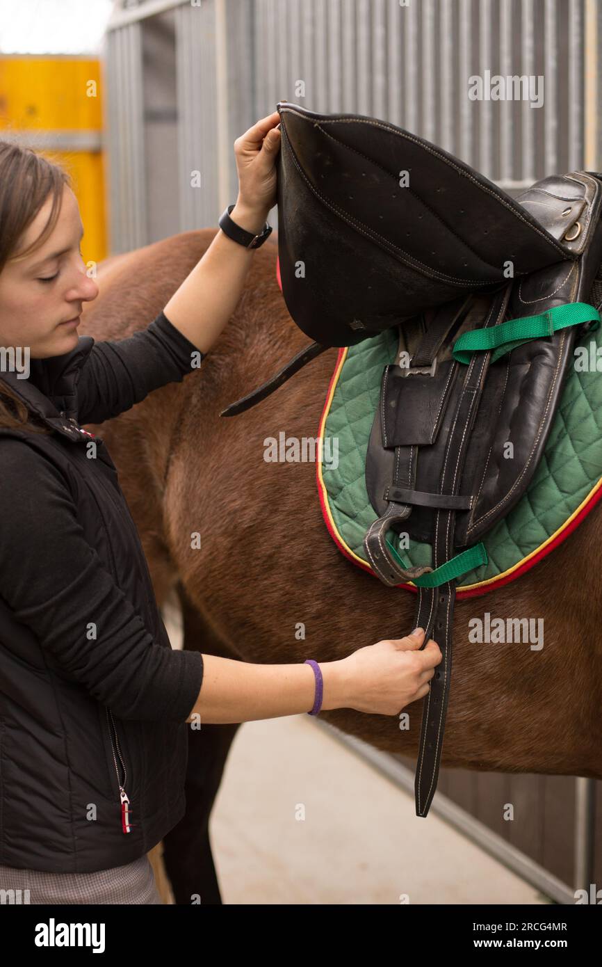 How to use horse saddle, harness and strap accessories. Mid-adult ...