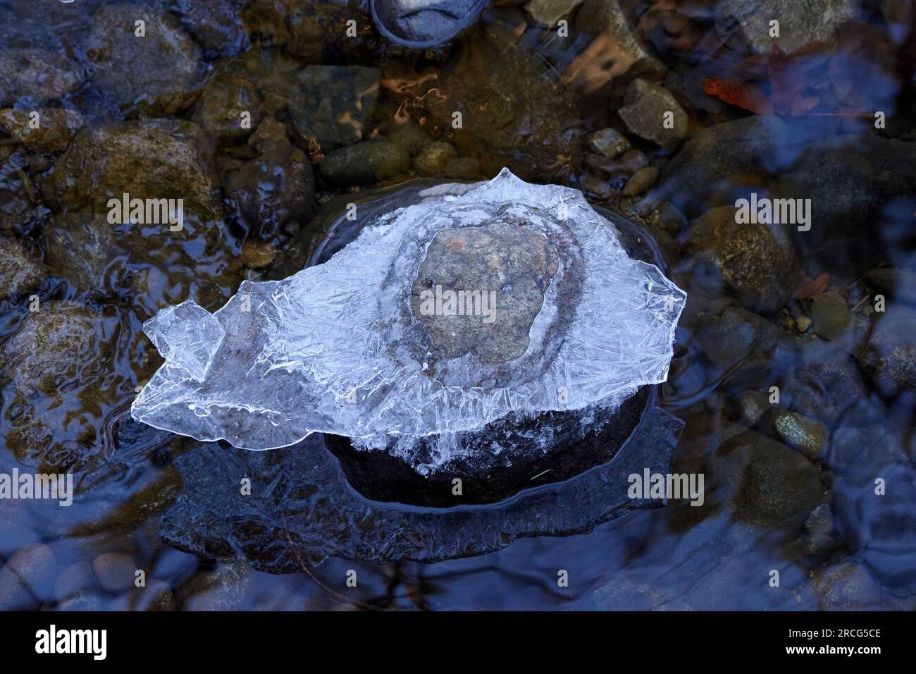 Surrounded by ice hi-res stock photography and images - Alamy
