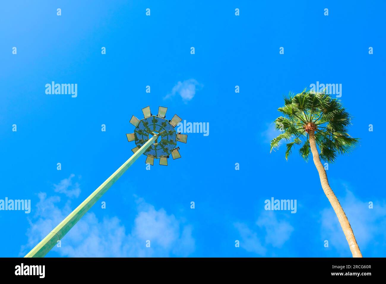 A tall palm tree and a tall lamp post against perfect blue sky Stock ...