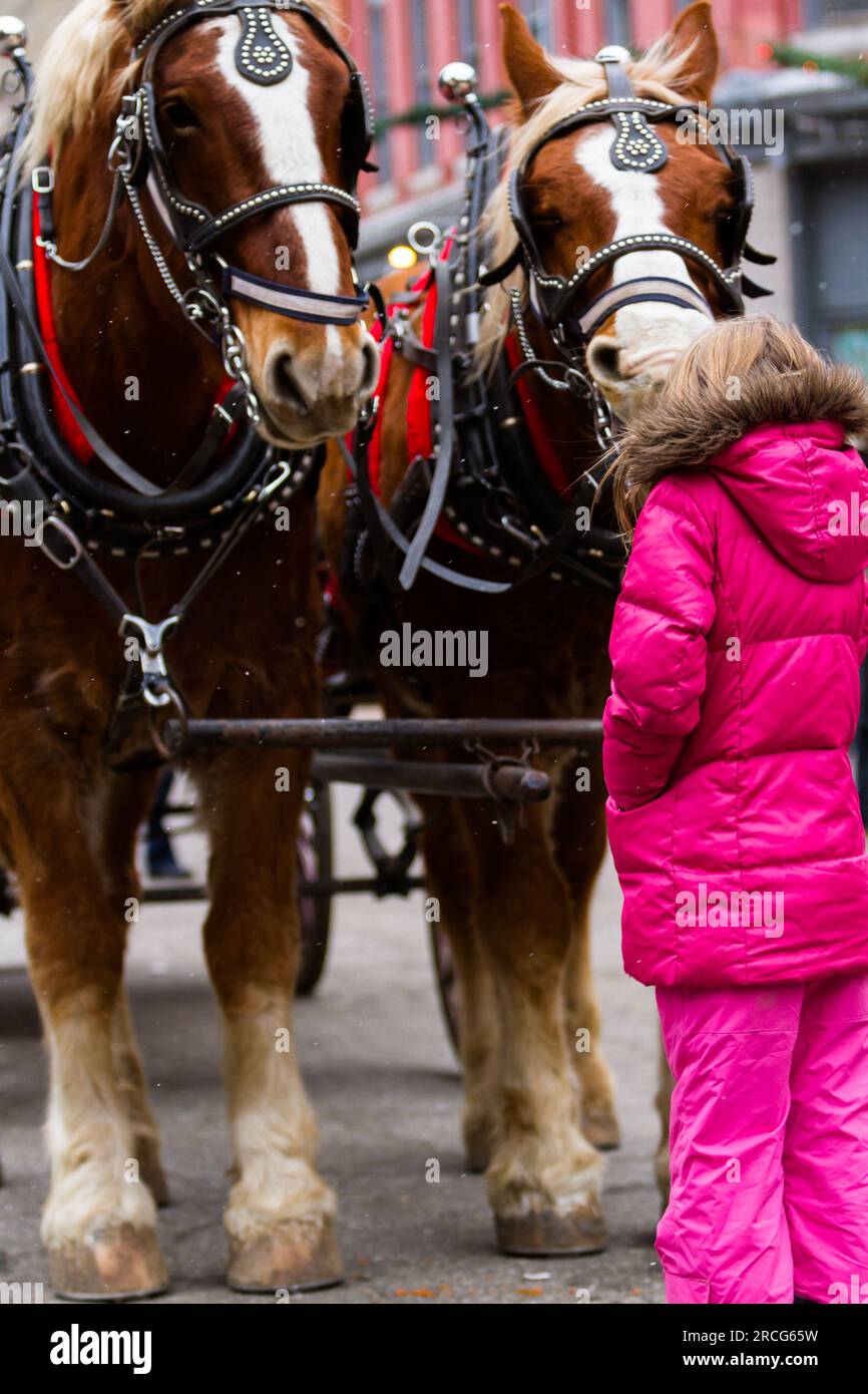Horse-drawn wagon ride Stock Photo - Alamy
