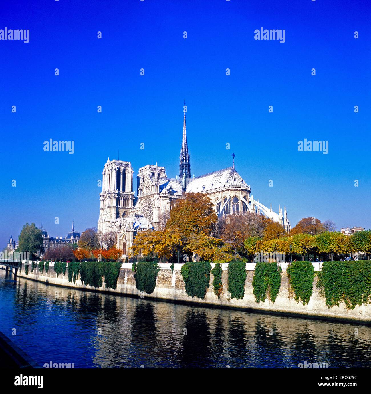 Notre dame of paris square hi-res stock photography and images - Alamy