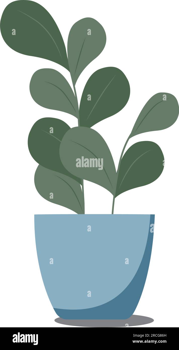 Ficus leaf graphic green Stock Vector Images - Alamy