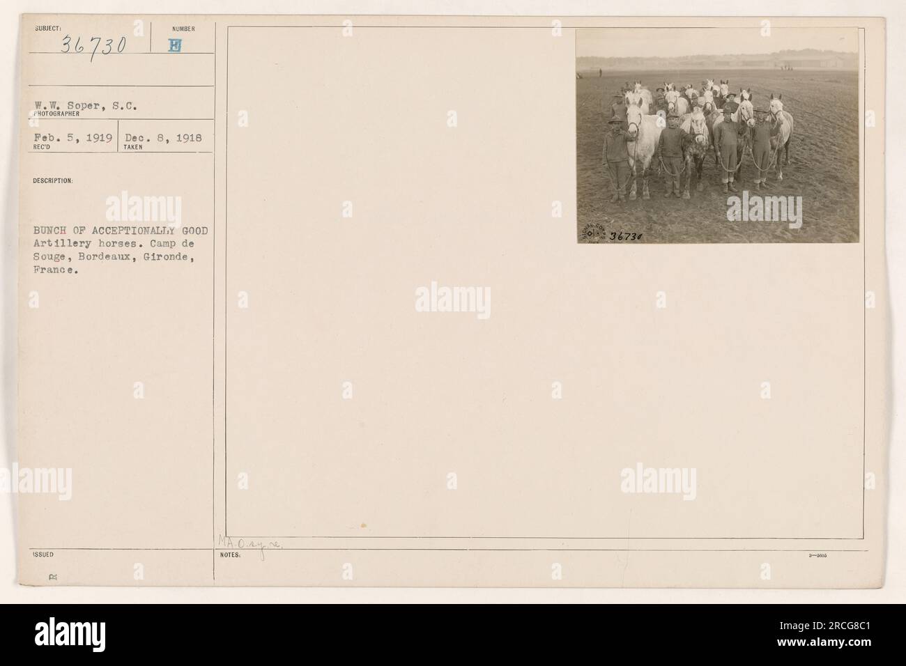 Camp de souge photographs hi-res stock photography and images - Alamy