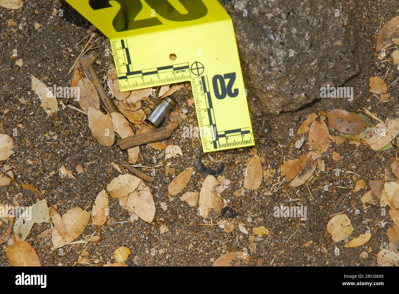 Evidence investigation hi-res stock photography and images - Alamy