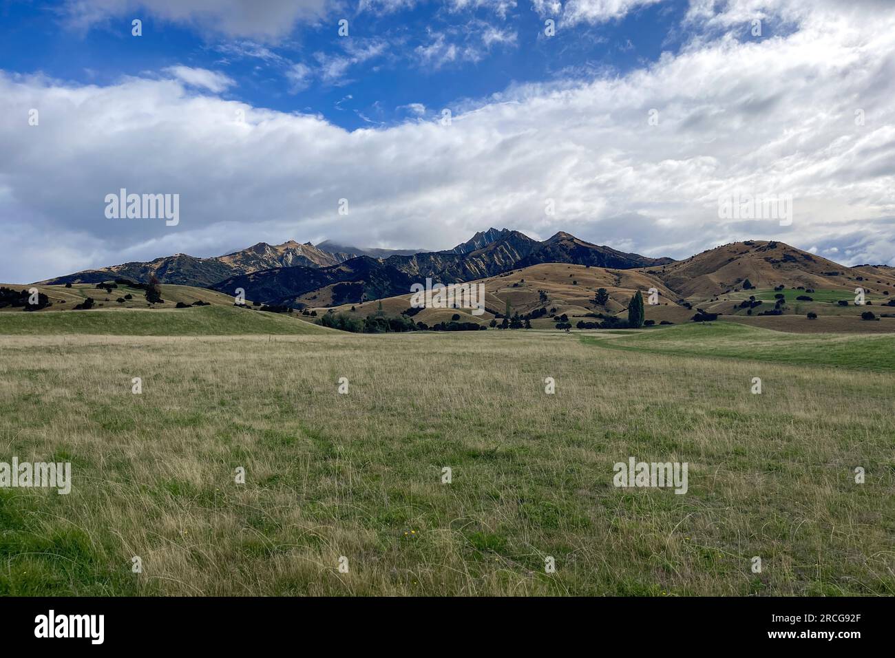 Driving through an agricultural rural sheep farm station in the ...