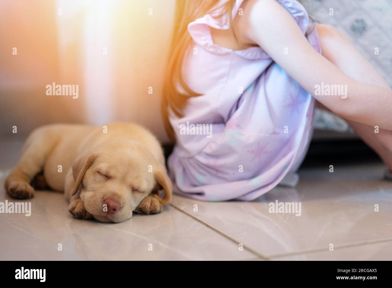 Labrador puppy sleep next to kid on floor house Stock Photo - Alamy