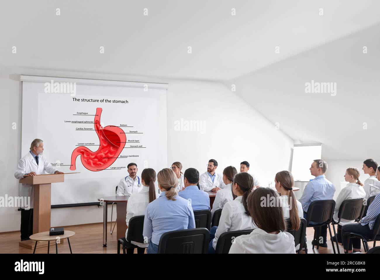 Lecture in gastroenterology. Conference room full of professors and ...