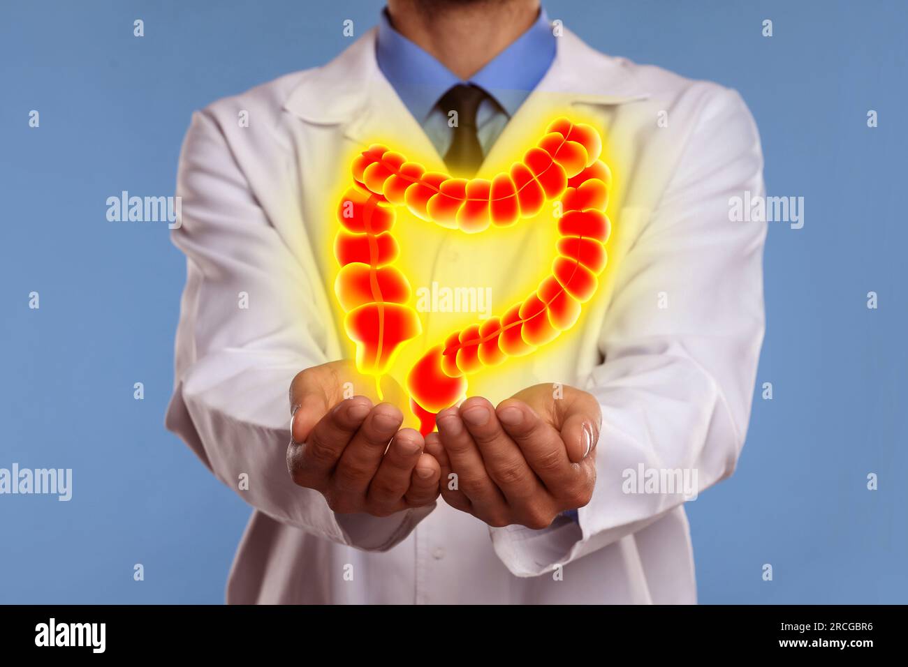 Gastroenterologist holding illustration of large intestine on light ...
