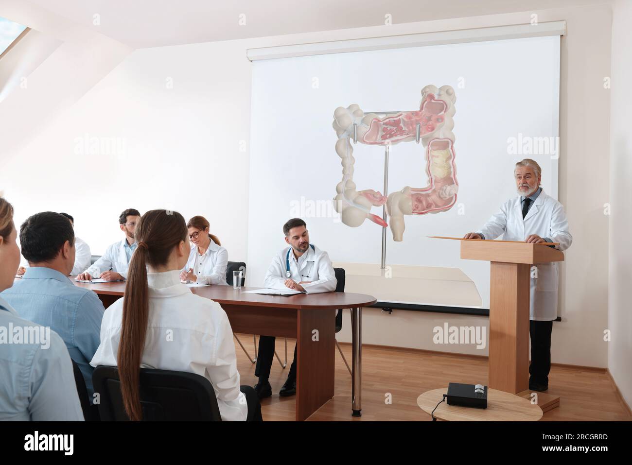 Lecture in gastroenterology. Conference room full of professors and ...