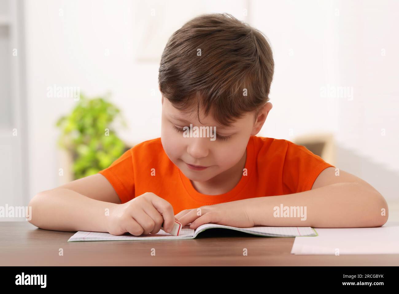 Little boy erasing mistake in his notebook at wooden desk indoors Stock ...